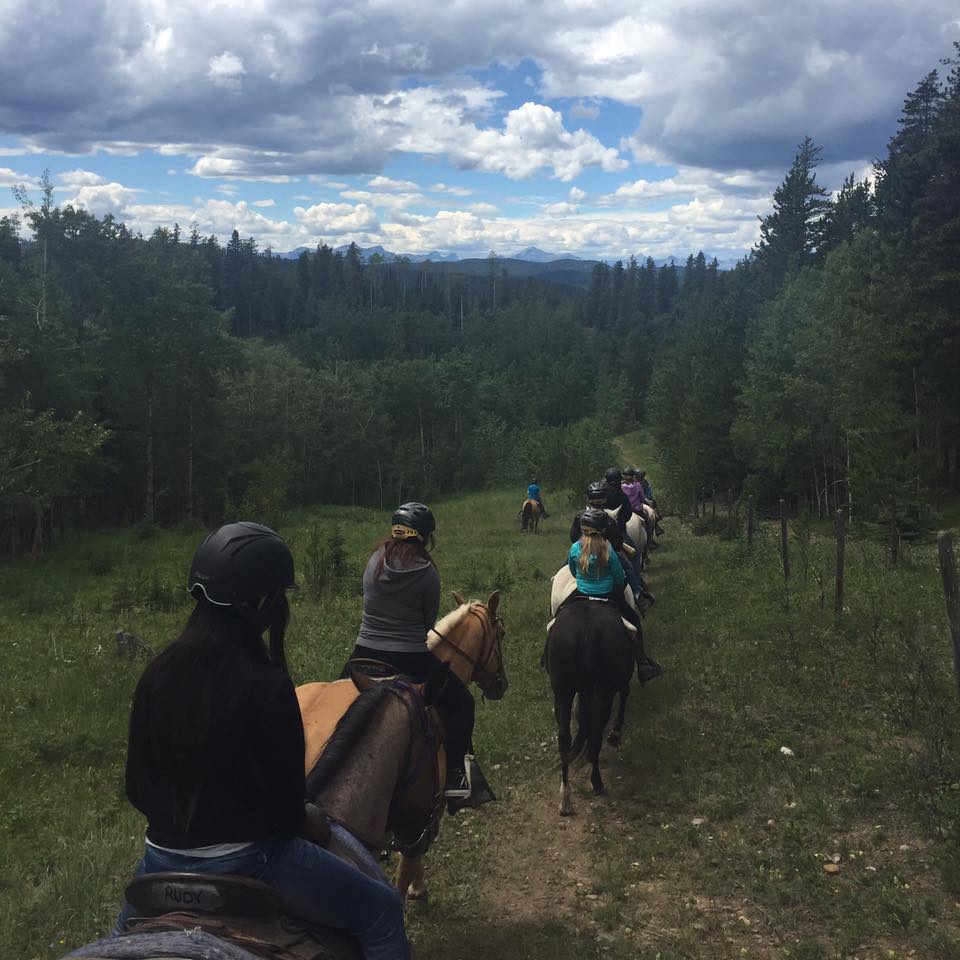 Calgary Horse Camps Calgary Summer Camps Horseback Riding Lessons Girl calgary-horse-camps-calgary-summer-camps-horseback-riding-lessons-girl